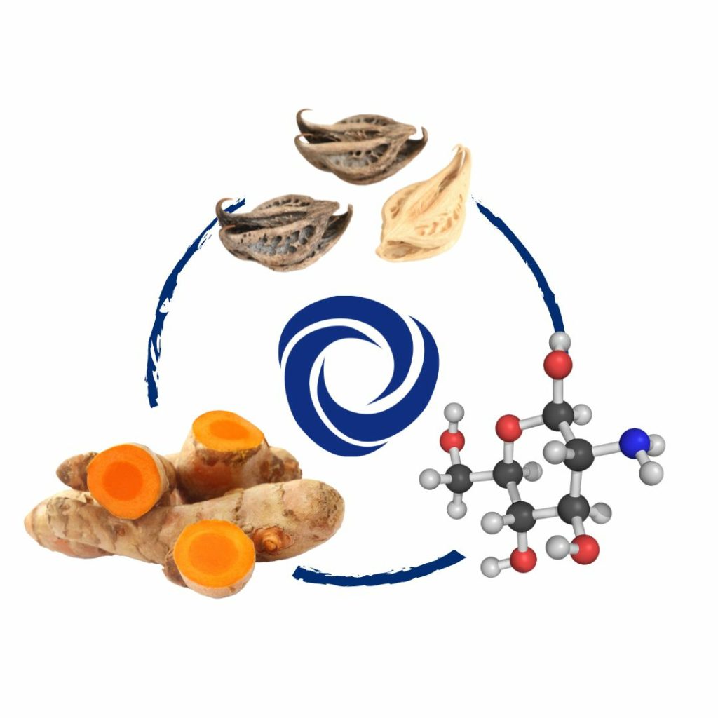 Joint support : Synergy of active ingredients for a comprehensive ...