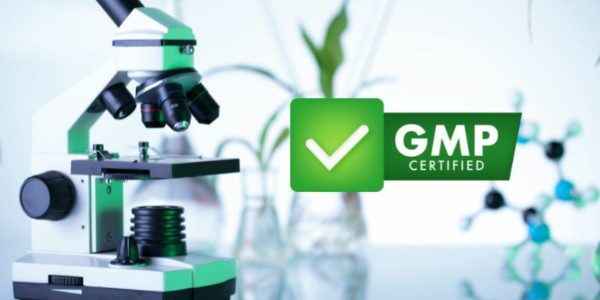 The Pillars of GMP Certification in Manufacturing Health Supplements ...